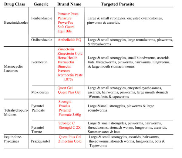 Most Common Horse Worms And Parasites
