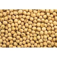 Soy In Horse Feeds - The Silent Antinutrient